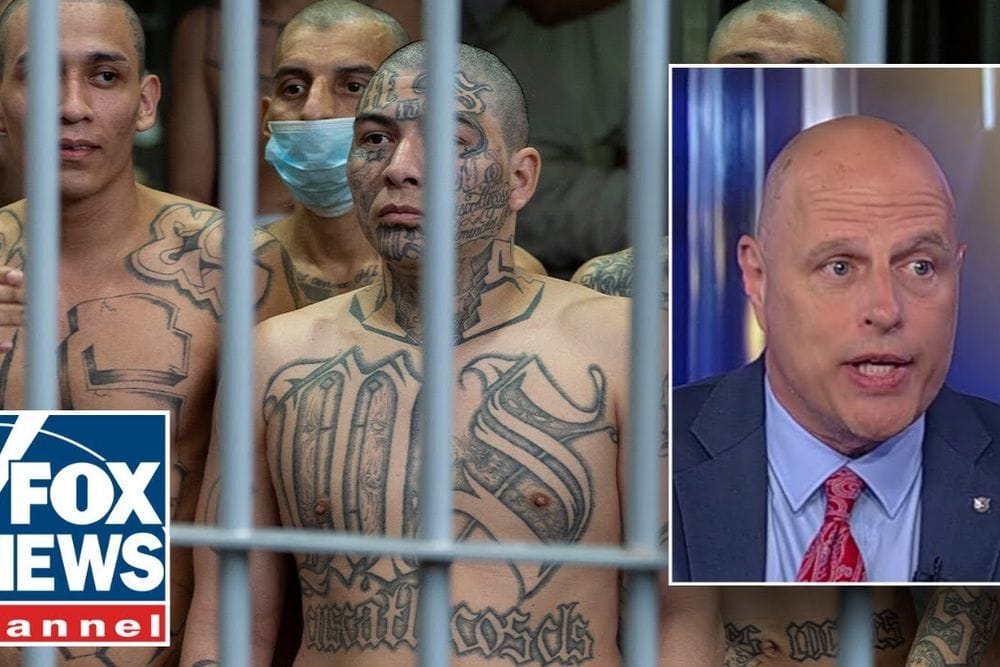 Border Patrol Advisor Details Trump's 10 Million Deportation Strategy