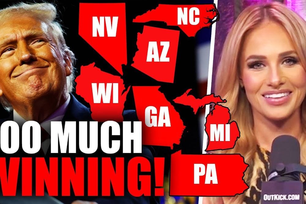 Trump's Election Strategy Secures Swing State Wins in 2024
